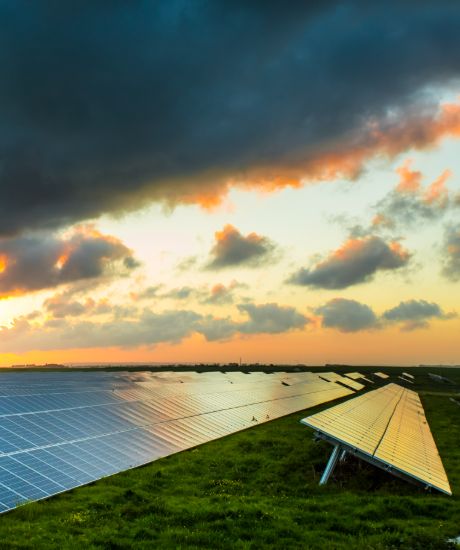 How Your Business Can Achieve Net Zero Carbon Emissions